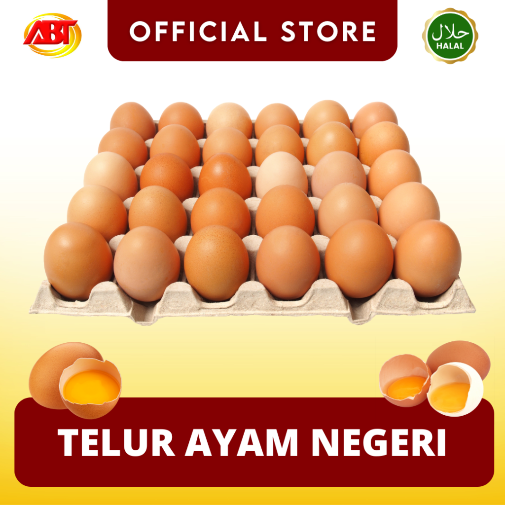 PT. Amalia Bintang Telur - Distributor Telur