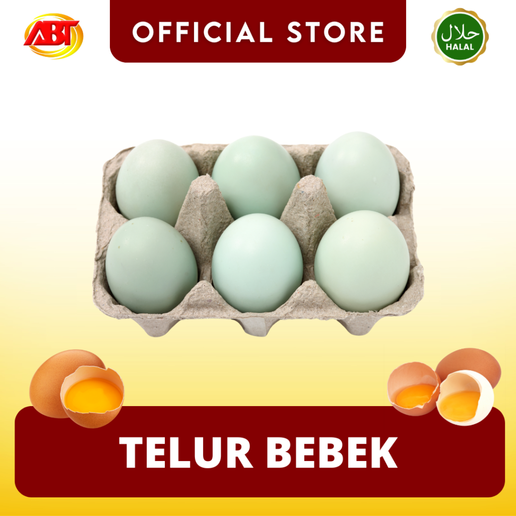 PT. Amalia Bintang Telur - Distributor Telur