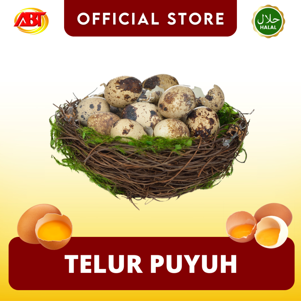 PT. Amalia Bintang Telur - Distributor Telur